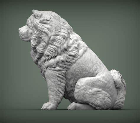 🐕 Chow Chow Sitting 3d Printed Model・ Stl File For 3d Printing・cults