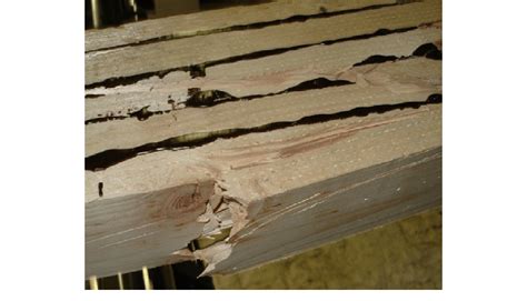 Tension Failure At Defect In Beam Phase A Download Scientific Diagram