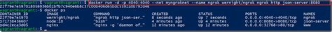 expose docker container services on the internet using the ngrok docker
