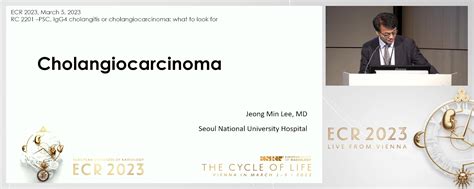 Primary Sclerosing Cholangitis Psc Igg4 Cholangitis Or Cholangiocarcinoma What To Look For