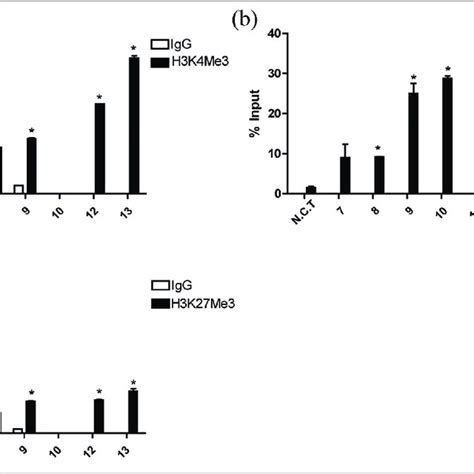 Runx2 Epigenetic Transcriptional Control Histone Post Translational