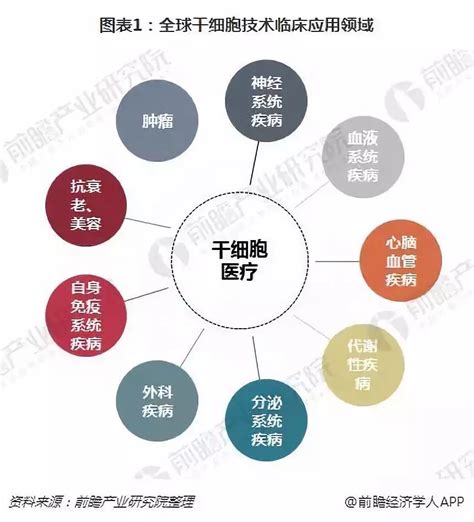 年干细胞医疗行业发展现状与趋势分析
