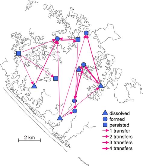 An Overview Of Female Transfers Between Well Sampled Mixed Sex Download Scientific