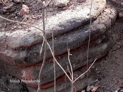 Environment And Geology Beautiful Weathering Structure On The Rocks Around Ranchi City India