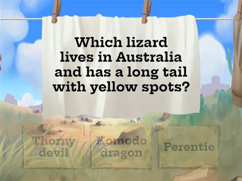 Lizard Game Find The Match