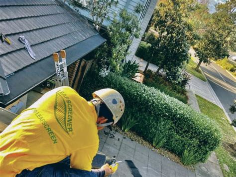 Service Cleaning Of Old Gutter Guards Leafscreener
