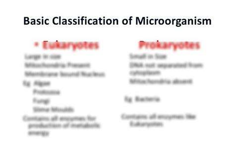 SOLUTION Basic Classification Of Microorganism Studypool