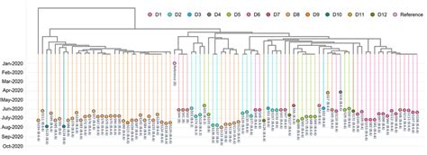A Genome Similarity Tree Shows The Relationship Among 89 Randomly