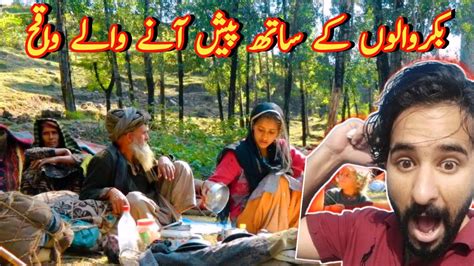Bakarwal Travling Bakarwali Life Gujjar Bakarwal Bakarwali Kutta