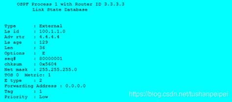 ospf nssa区域路由的计算过程与fa值实验 nssa抑制fa环路实验 csdn博客