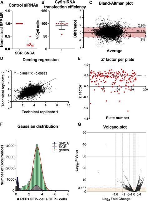 A Genome Wide Sirna Screen For The Identification Of Genetic Modifiers