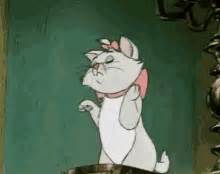 Marie Cat  Marie Cat Eyeroll Discover And Share S