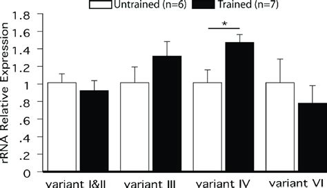 Rrna Variant Iv Expression Is Upregulated One Hour After Learning