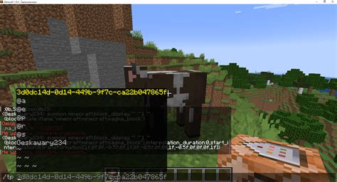 How Do I Get Display Entity Minecraft Id R Minecraft