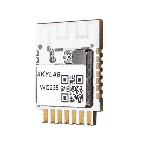 WiFi Module Skylab