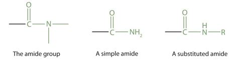 Amide Group Amines And Amides Chemistry For Majors