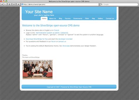 Silverstripe Encyclopedia Mdpi