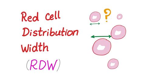 Red Blood Cell Distribution Width