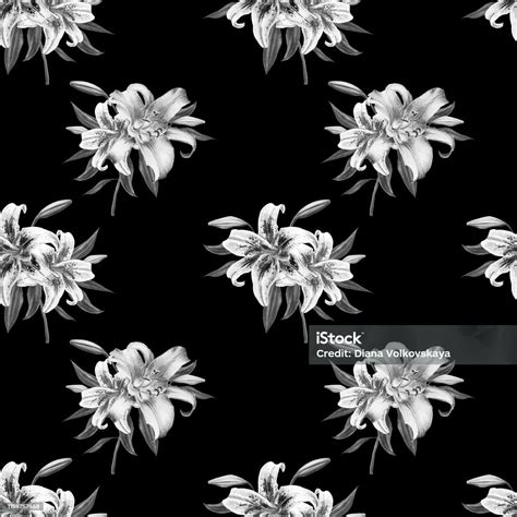 아름 다운 흑백 백합 이음새있는 패턴 꽃다발 플로럴 프린트 마커 그리기 0명에 대한 스톡 벡터 아트 및 기타 이미지 0명 개화기 검은색 Istock