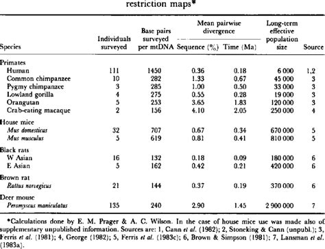 Intraspecific Divergence In Mammalian Mtdna Based On Comparing