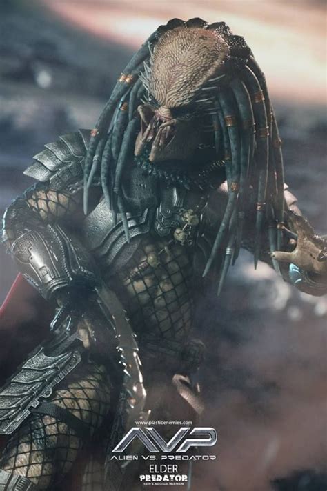 Predator Alien Predator Alien