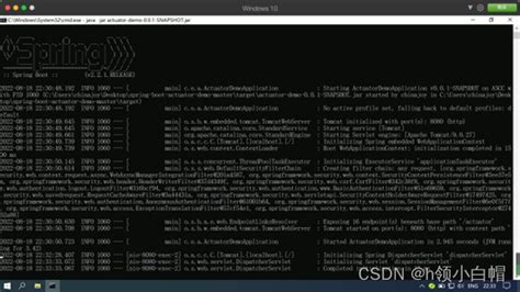 spring boot actuator详解与漏洞利用 springboot actuator 漏洞 csdn博客