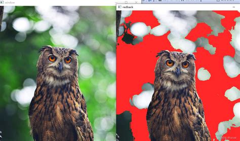 opencv c 图像色彩空间转换 掩膜mask处理（12） c mask model l csdn博客