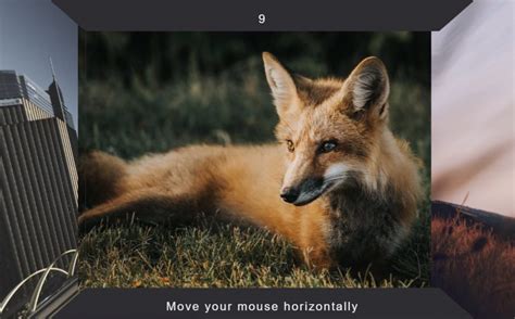 JavaScript Carousel Design Code Examples OnAirCode