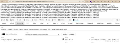Ctfshow Web入门 Sql注入（web241、web242、web243）delete And File 注入 Csdn博客