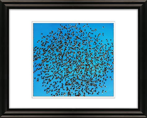 The Magic Of Landscape Photography With Michael Zide Kestrel Land Trust