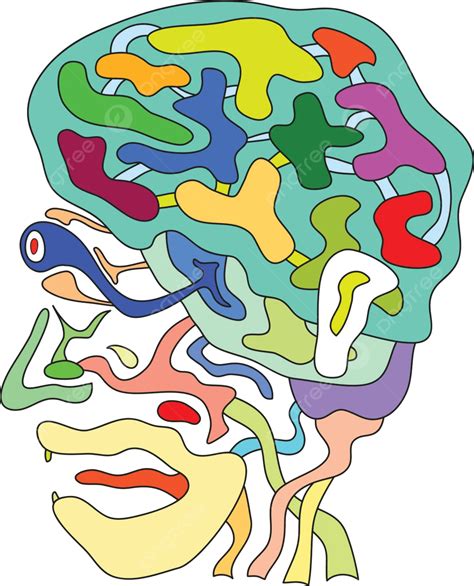 Doodle Head Anatomy Illustration Background Space Vector Rat Drawing