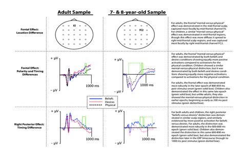 Summary Of ERP Component Differences For Adult Liu Et Al A Download Scientific