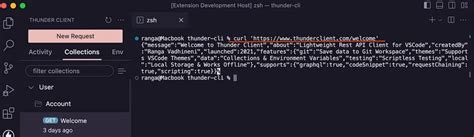 Thunder Client Guide The Ultimate Guide To Mastering Thunder Client CLI DEV Community
