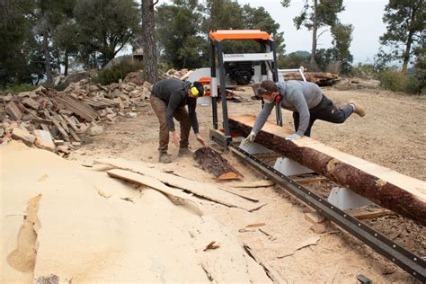 Timber Preparation For The Final Project Iaac Blog