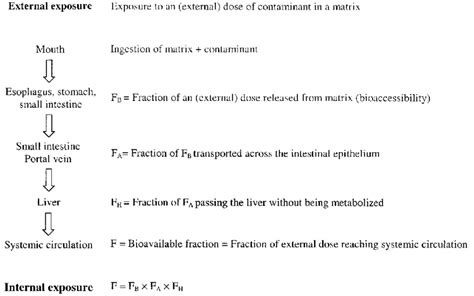 Various Steps Of Oral Bioavailability F Download Scientific Diagram