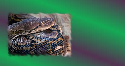 Run KISS Questions For A Python Interview
