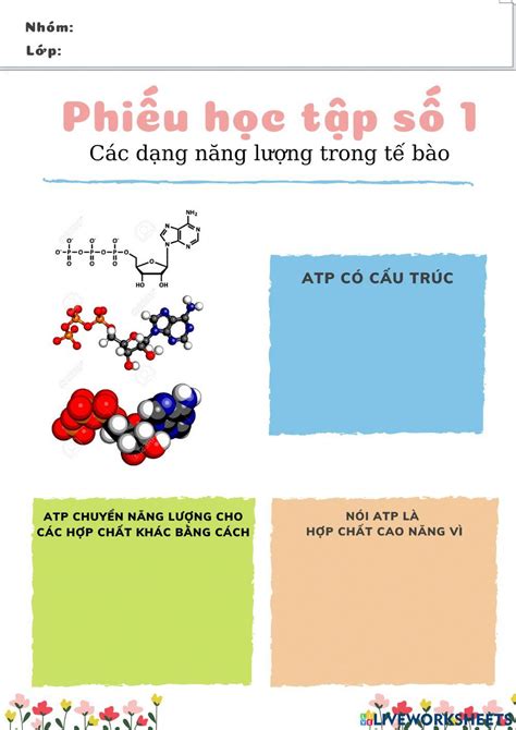 Năng Lượng Liên Kết Của Một Hạt Nhân Hiểu Rõ Bản Chất Và Ứng Dụng Thực