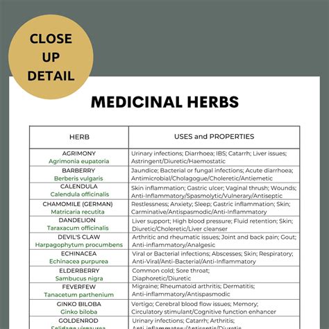 Medicinal Herb Guide Digital Download Herb Reference Guide Herb Chart List Of Herbs Herb