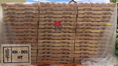 Cockroaches Control In Cambodia Jamson Pest Solutions