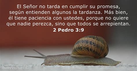 2 Pedro 39 Versículo De La Biblia