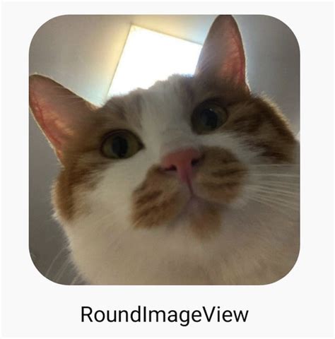 可以指定圆角的viewgroupview（可带边框） 玩android
