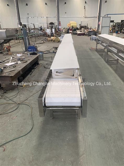Meat Products Equipment Conveyor Belt Assembly Line Customized Food Conveying Equipment - Meat ...