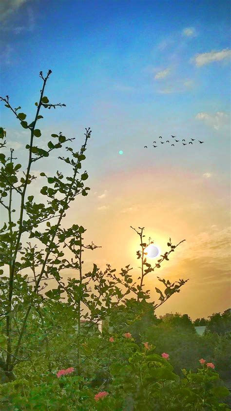 Dont Just Follow The Herd Be Like A Bird Open Your Wings And Fly High In The Sky Album