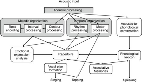 Cognitive Neuropsychological Model Of Music Processing Sketching The