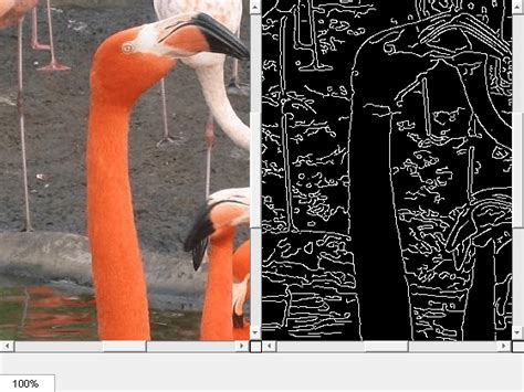 Build Image Comparison Tool MATLAB Simulink