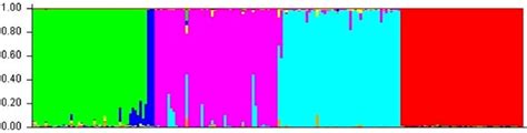 bar plots from stru ctu re suggesting four clusters k 5 based on 12