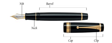 Fountain Pen Nib Sizes Fountain Pen Anatomy Pilot Pen Australia