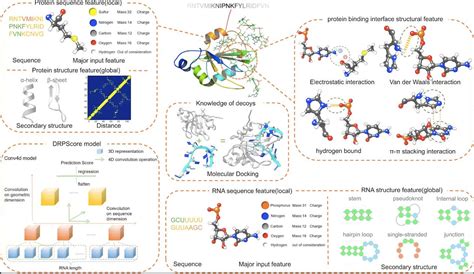 Improving The Accuracy Of Rna Protein Complex Structure Prediction With