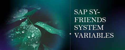 SAP SY SYSTEM VARIABLES